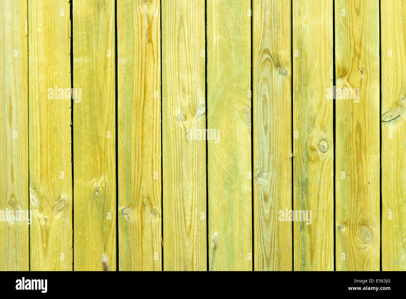 The yellow wood texture with natural patterns Stock Photo - Alamy
