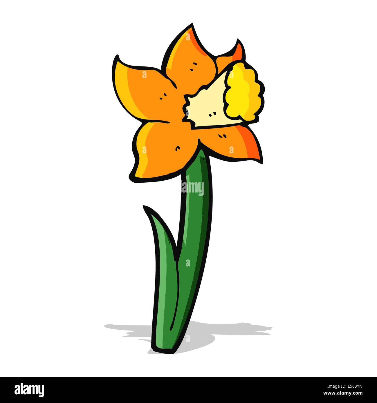 Cartoon Daffodil High Resolution Stock Photography and Images - Alamy
