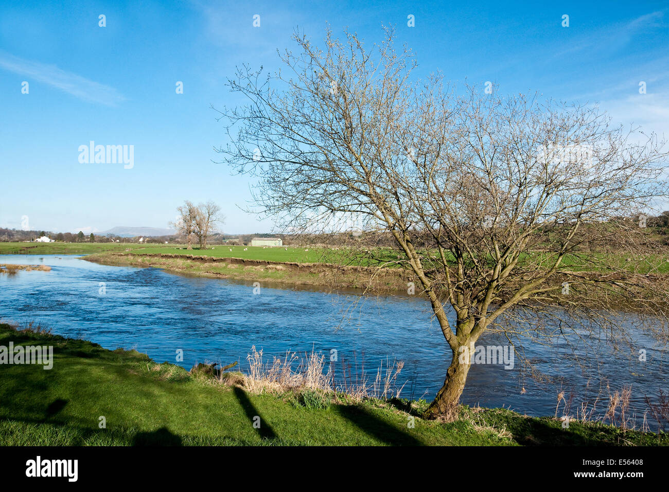 The River Ribble at Ribchester in the Ribble Valley, Lancashire. Pendle ...