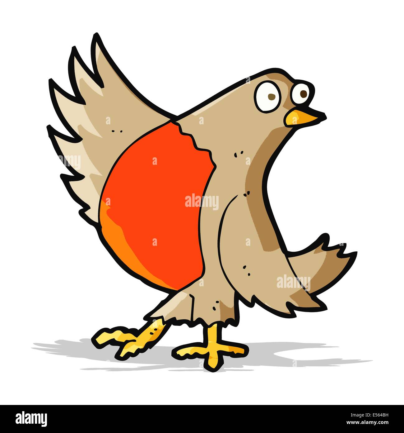 Robin bird is dancing Stock Vector Images - Alamy