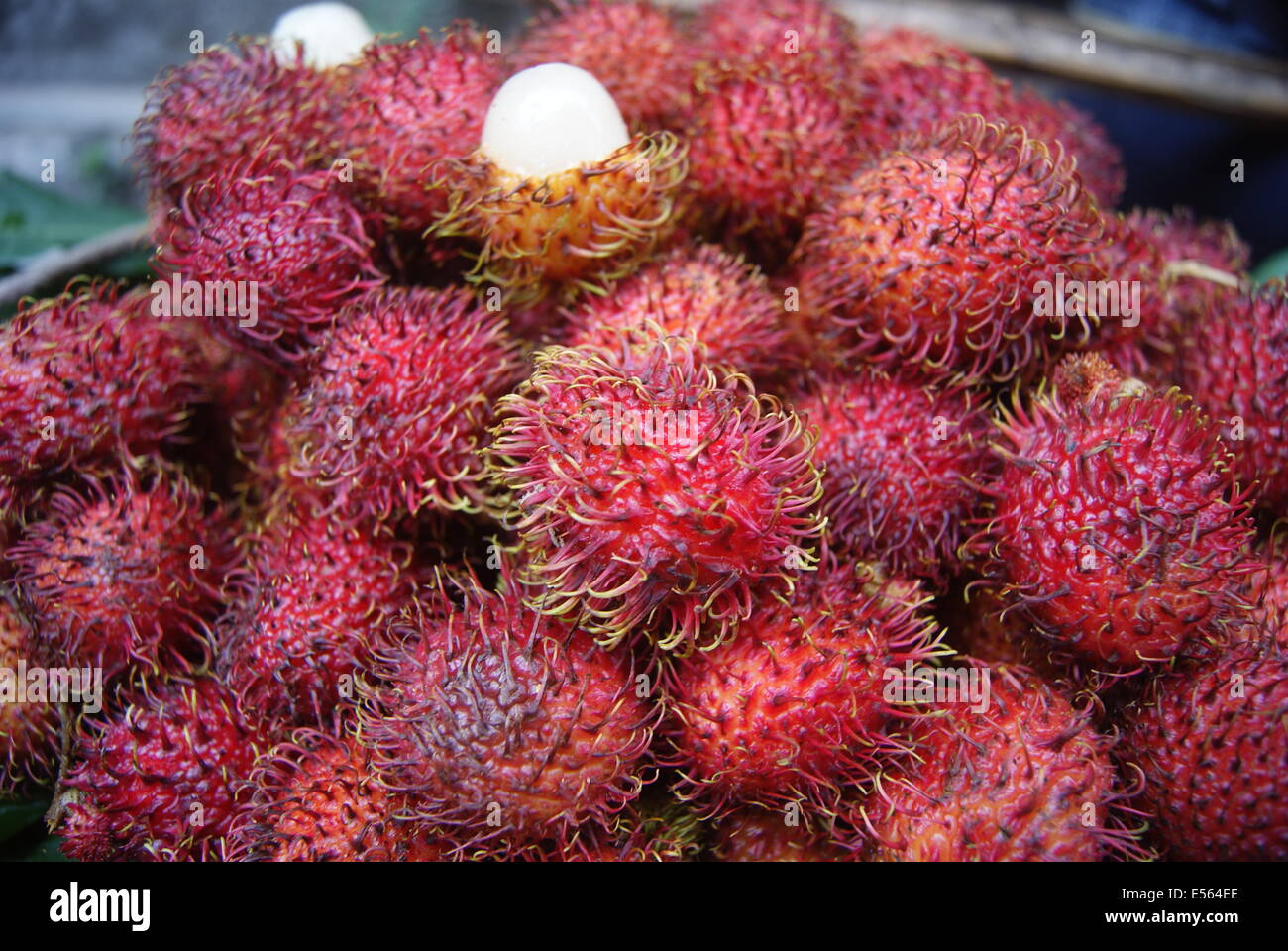 Lizhi hi-res stock photography and images - Alamy