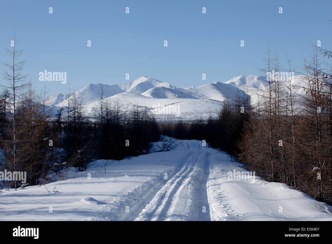 Deep Snow road leading to snowy mountains forest Stock Photo - Alamy