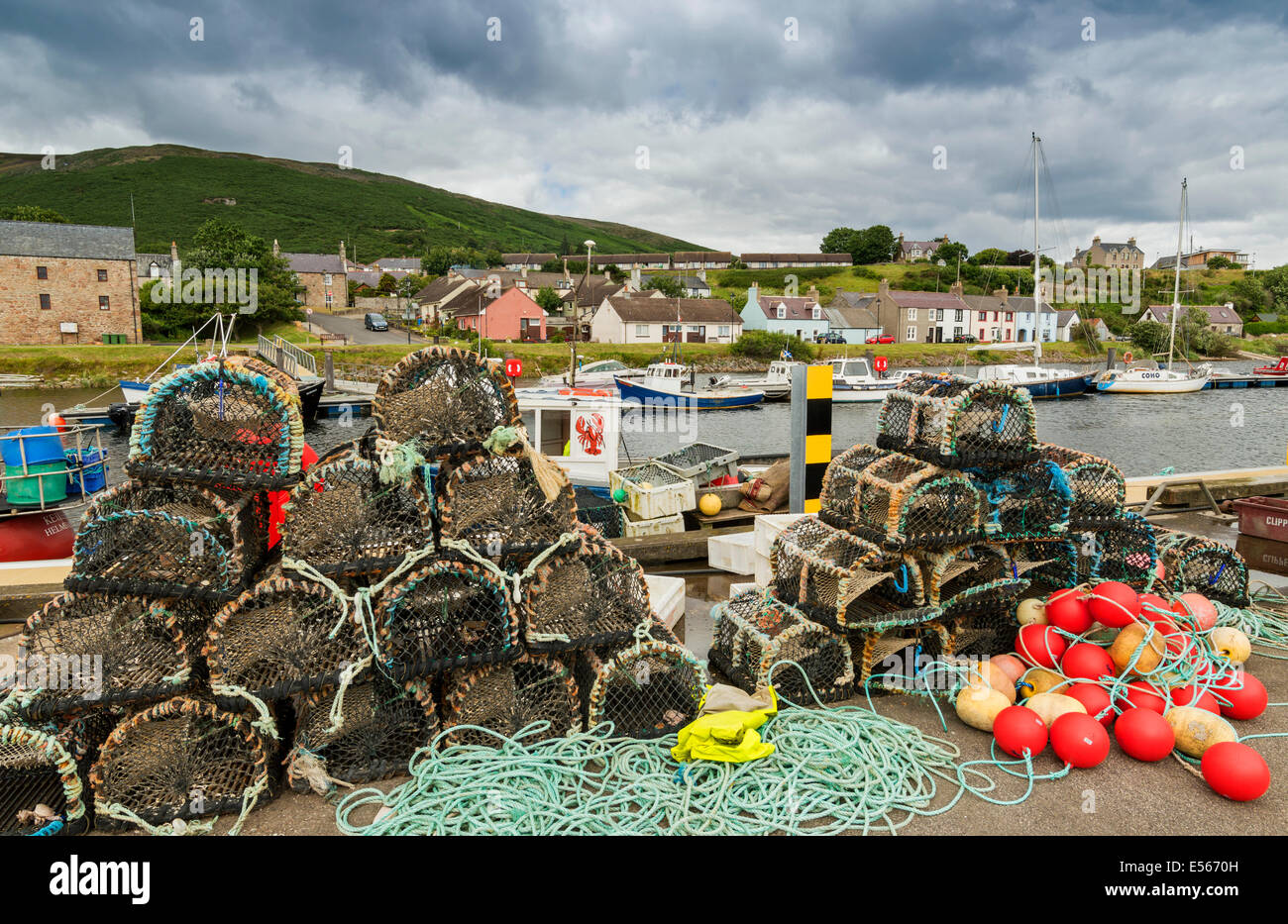 Scottish crab hi-res stock photography and images - Alamy