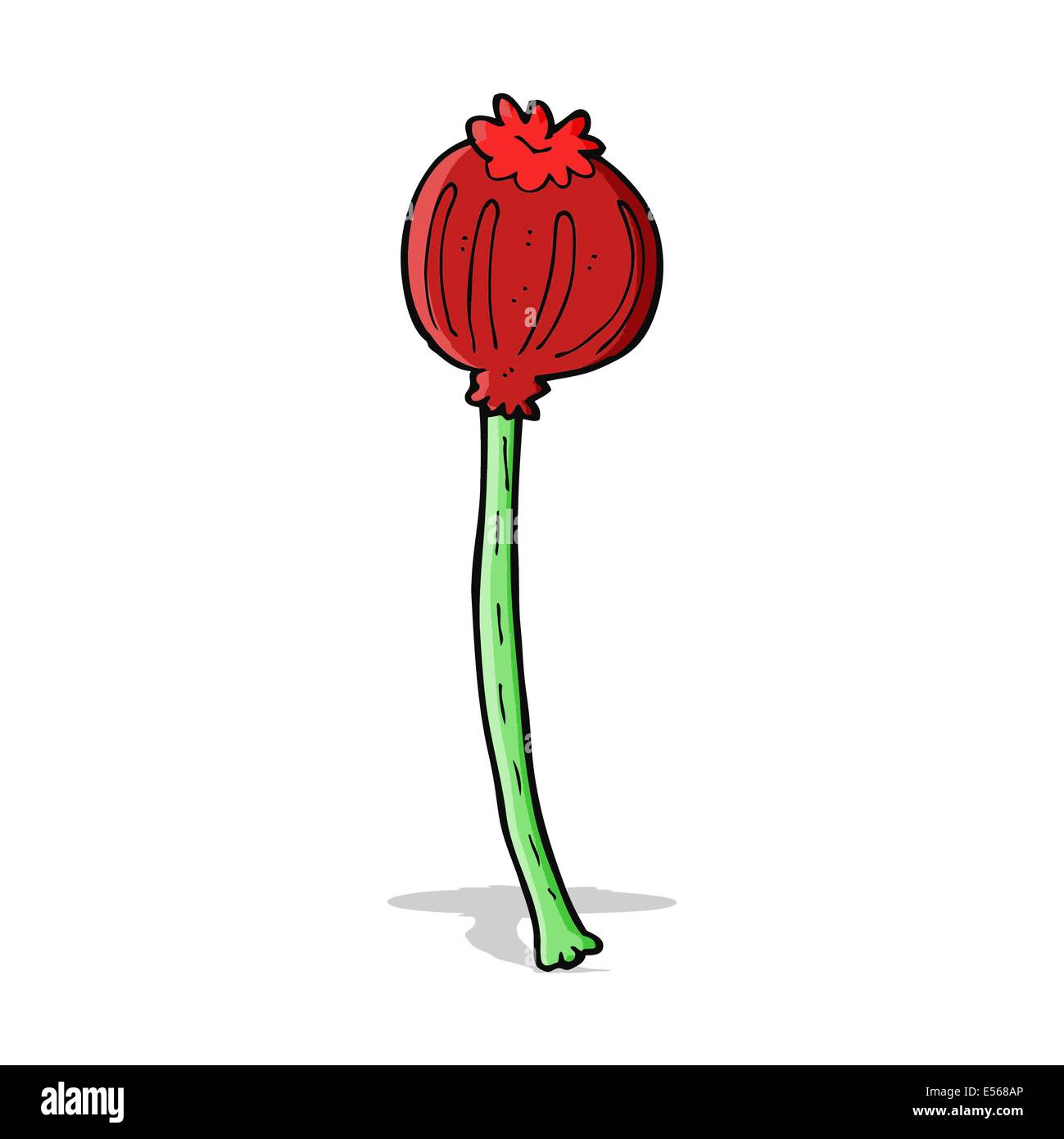 cartoon dried poppy Stock Vector Image & Art - Alamy