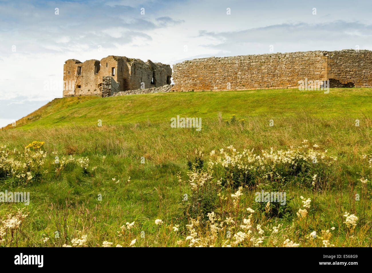 DUFFUS CASTLE AND WALL WITH MEADOWSWEET GROWING ON THE MOTTE NEAR ELGIN ...