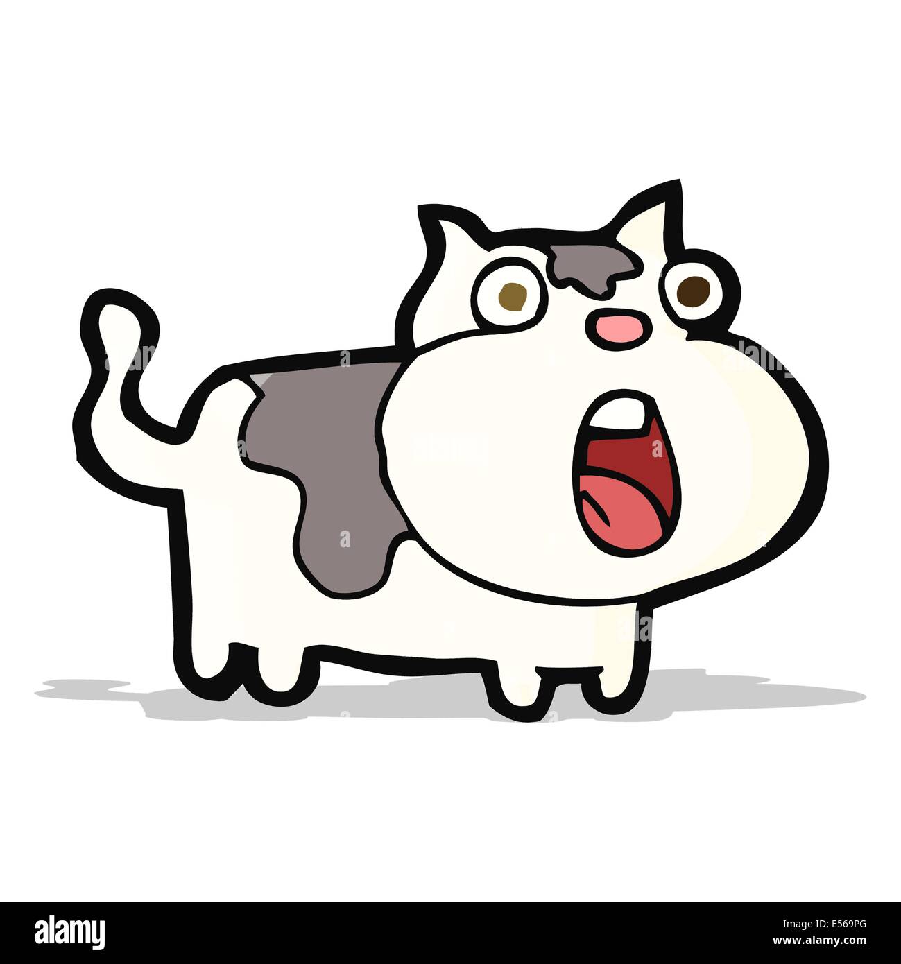cartoon shocked cat Stock Vector Image & Art - Alamy