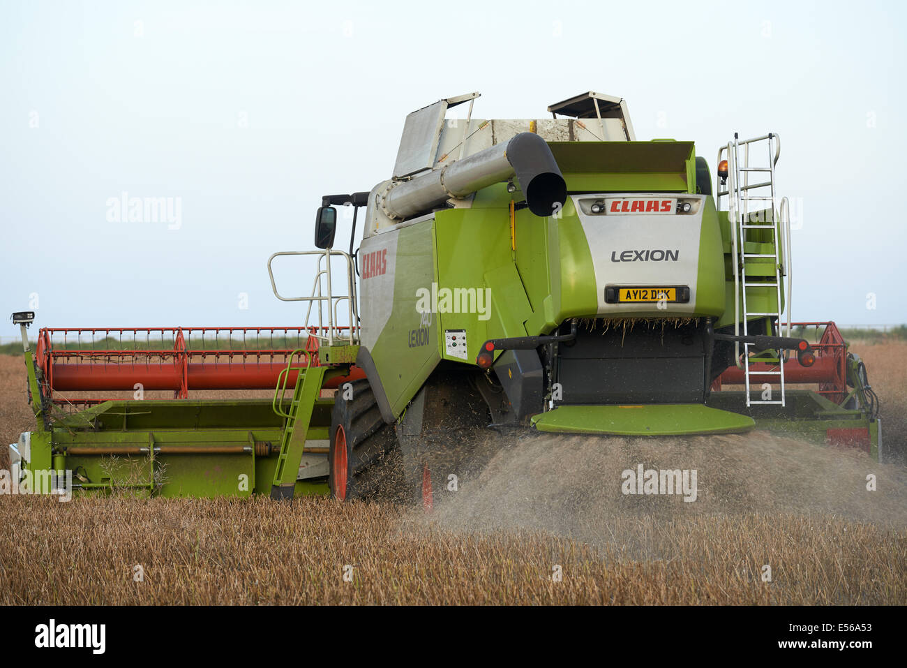 Claas Lexion 740 combine harvester cutting oil-seed rape Stock Photo ...