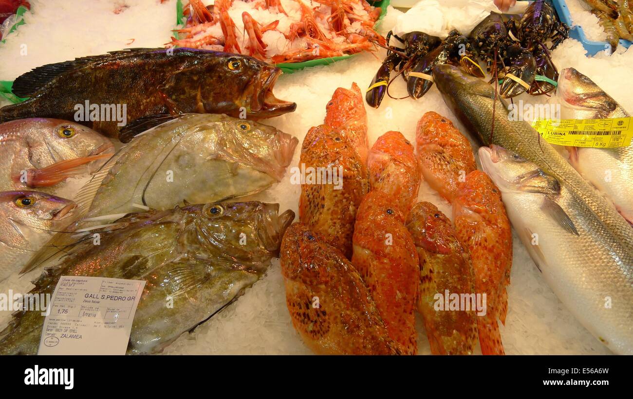 Fish for Sale, Mercat Olivar , Palma, Mallorca Stock Photo - Alamy