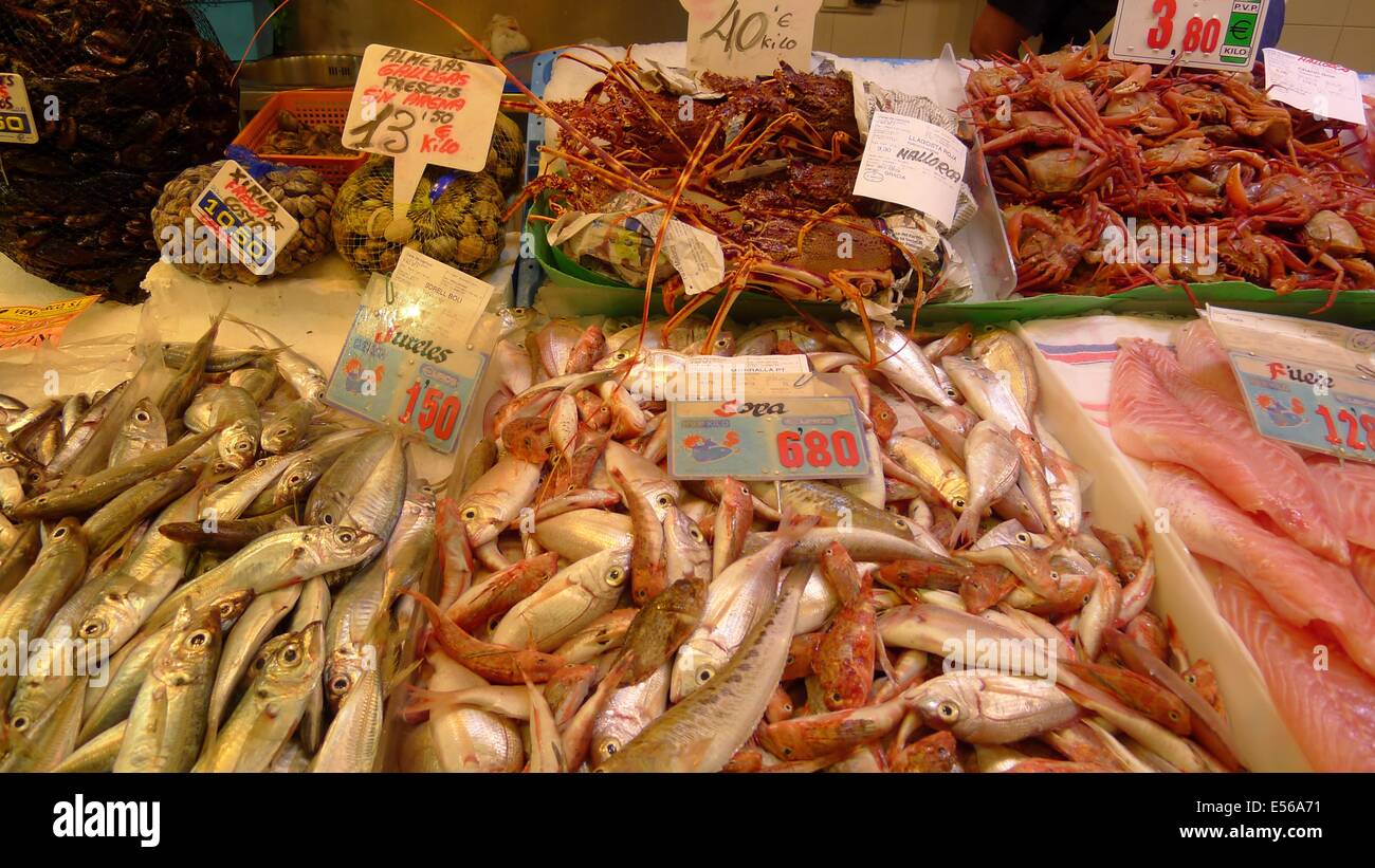 Mercat Olivar Fish Stall Stock Photo - Alamy