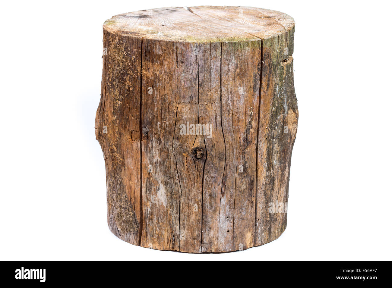 Wood log isolated on a white background Stock Photo - Alamy