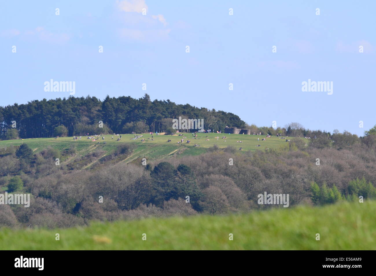 Lickey Hills near BIrmingham, UK Stock Photo - Alamy