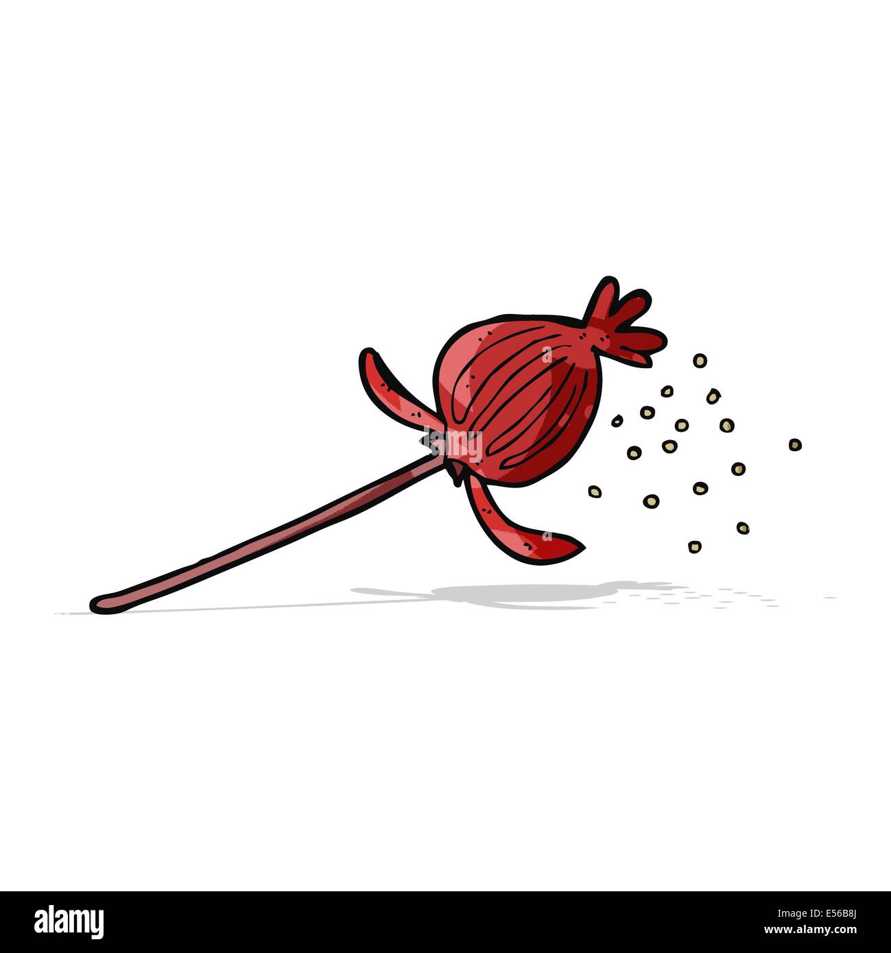 cartoon dried poppy flower Stock Vector Image & Art - Alamy