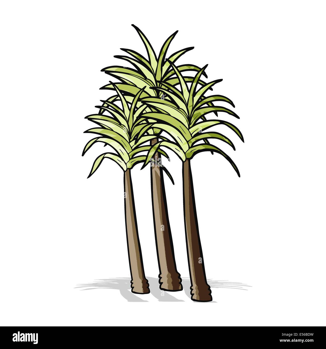 cartoon palm tree Stock Vector Image & Art - Alamy