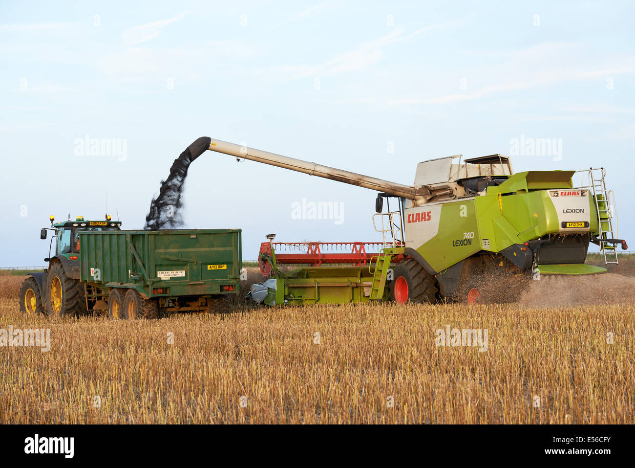 Oil-seed rape harvest Stock Photo - Alamy