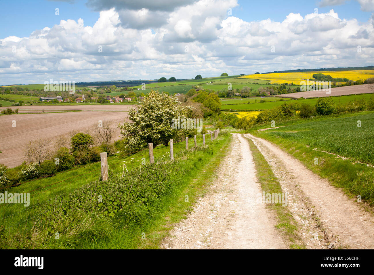 Unmade road track pathway hi-res stock photography and images - Alamy
