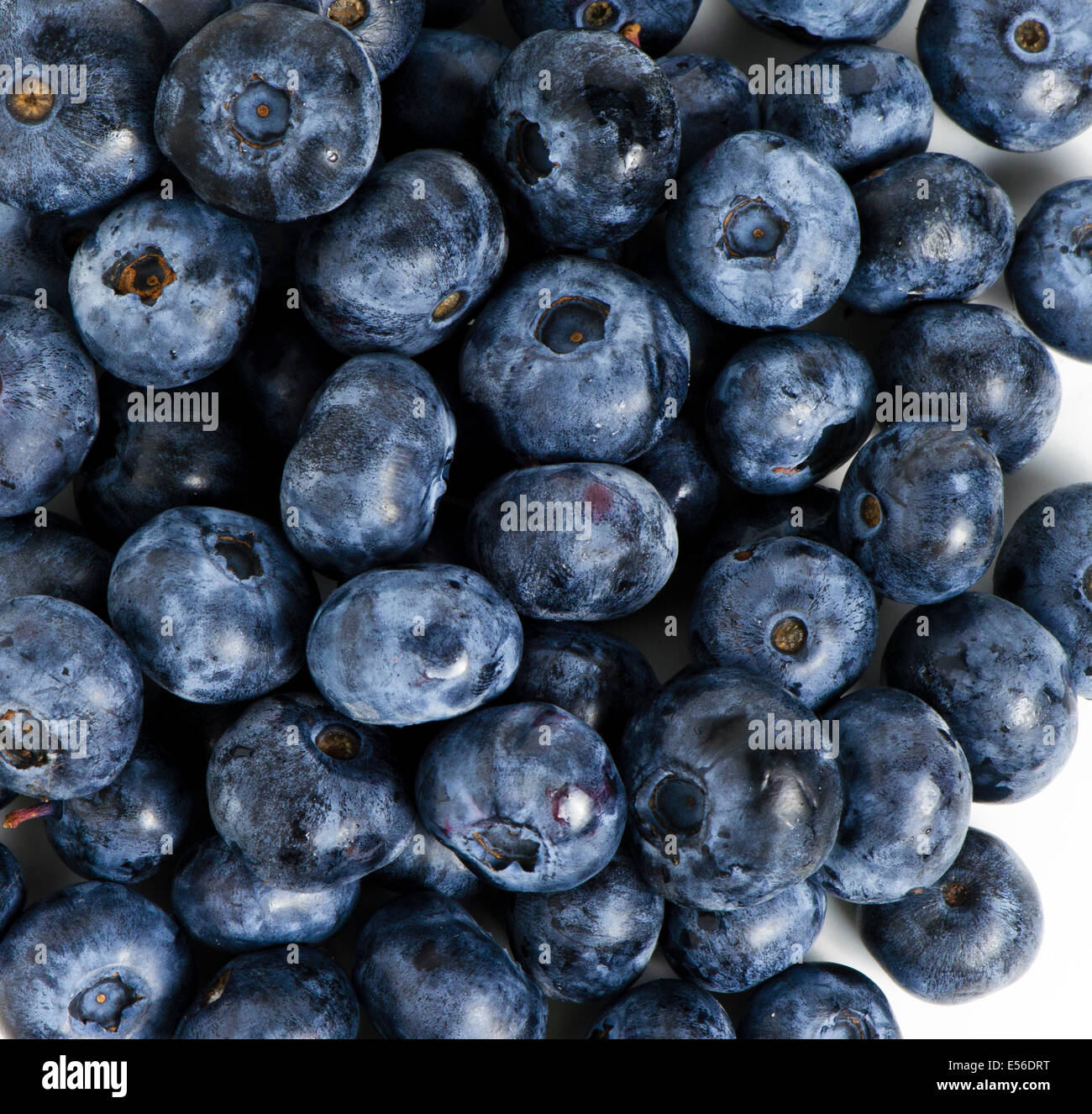Sweet details of blueberry Stock Photo - Alamy