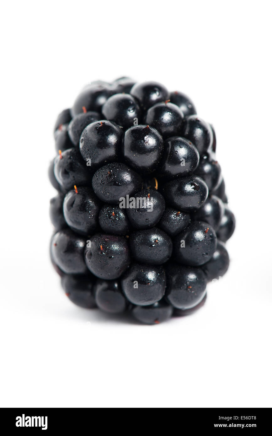 Picture with sweet blackberry isolated on white background Stock Photo ...