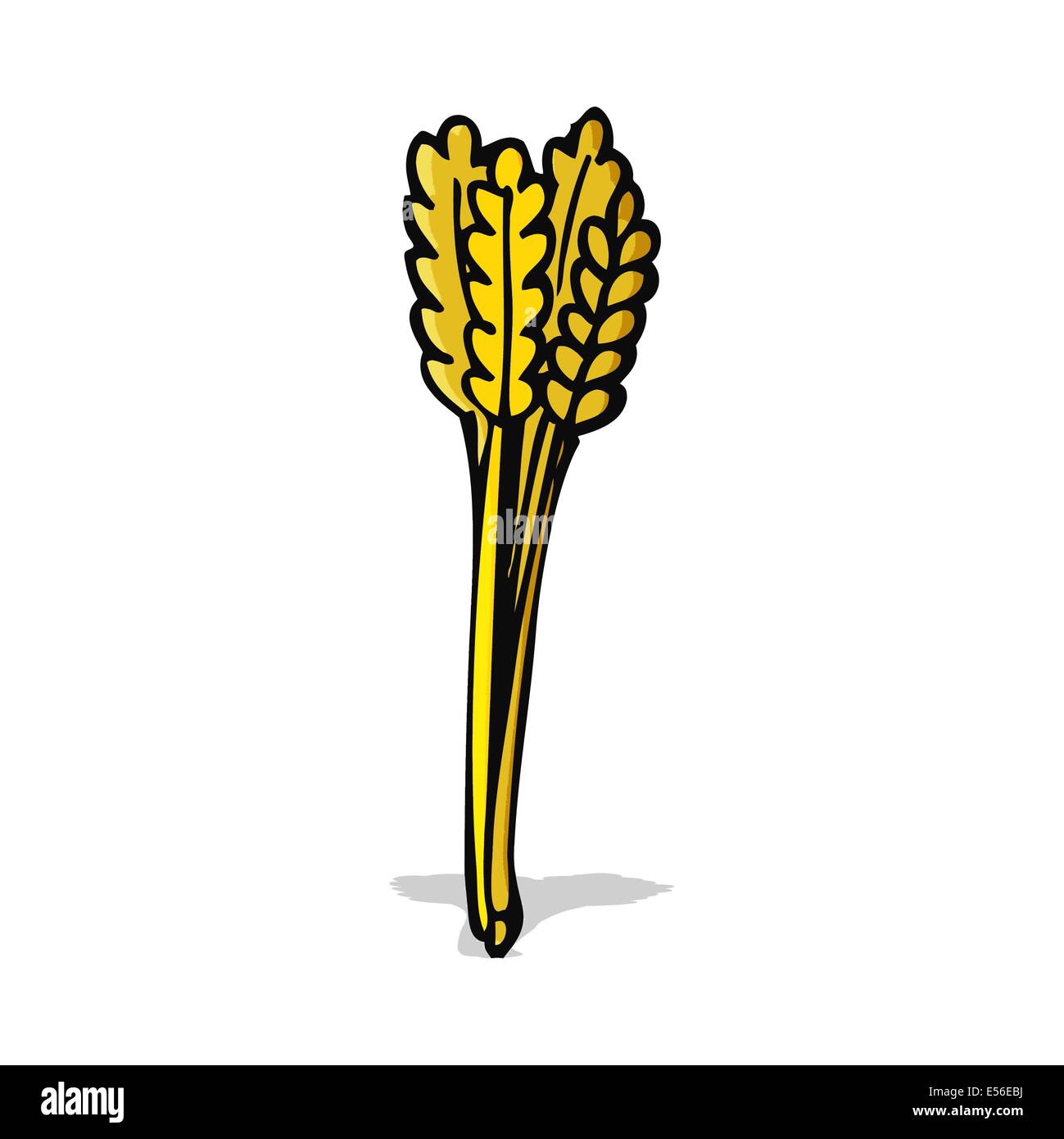 Crazy straw Stock Vector Images - Alamy