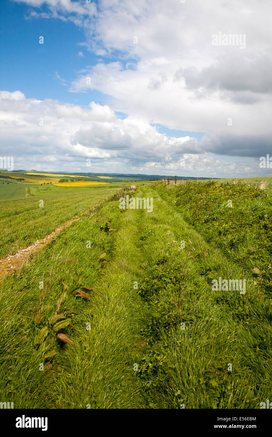 Grass track hi-res stock photography and images - Alamy