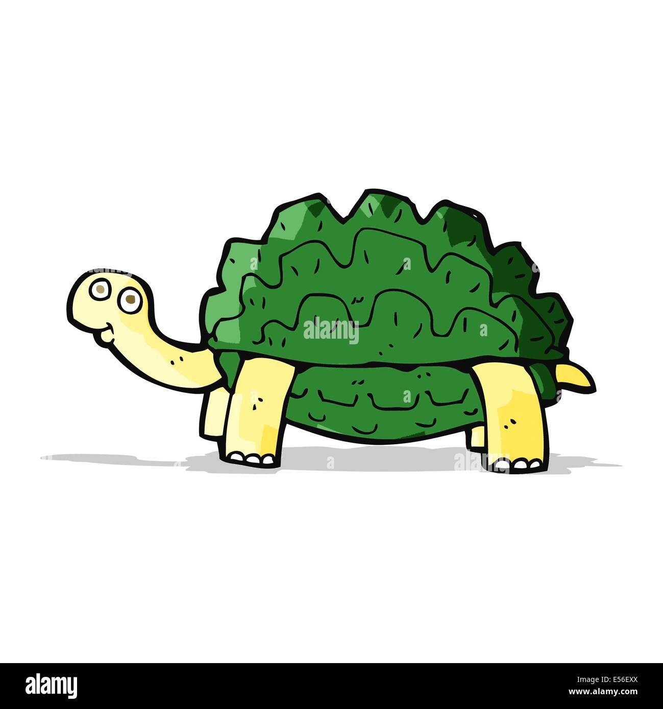 Tortoise illustration retro Stock Vector Images - Alamy