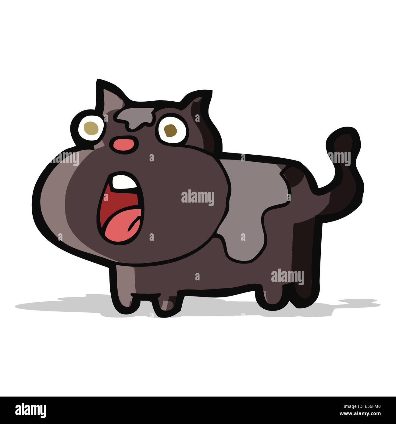 Cartoon shocked cat amazed hi-res stock photography and images - Alamy