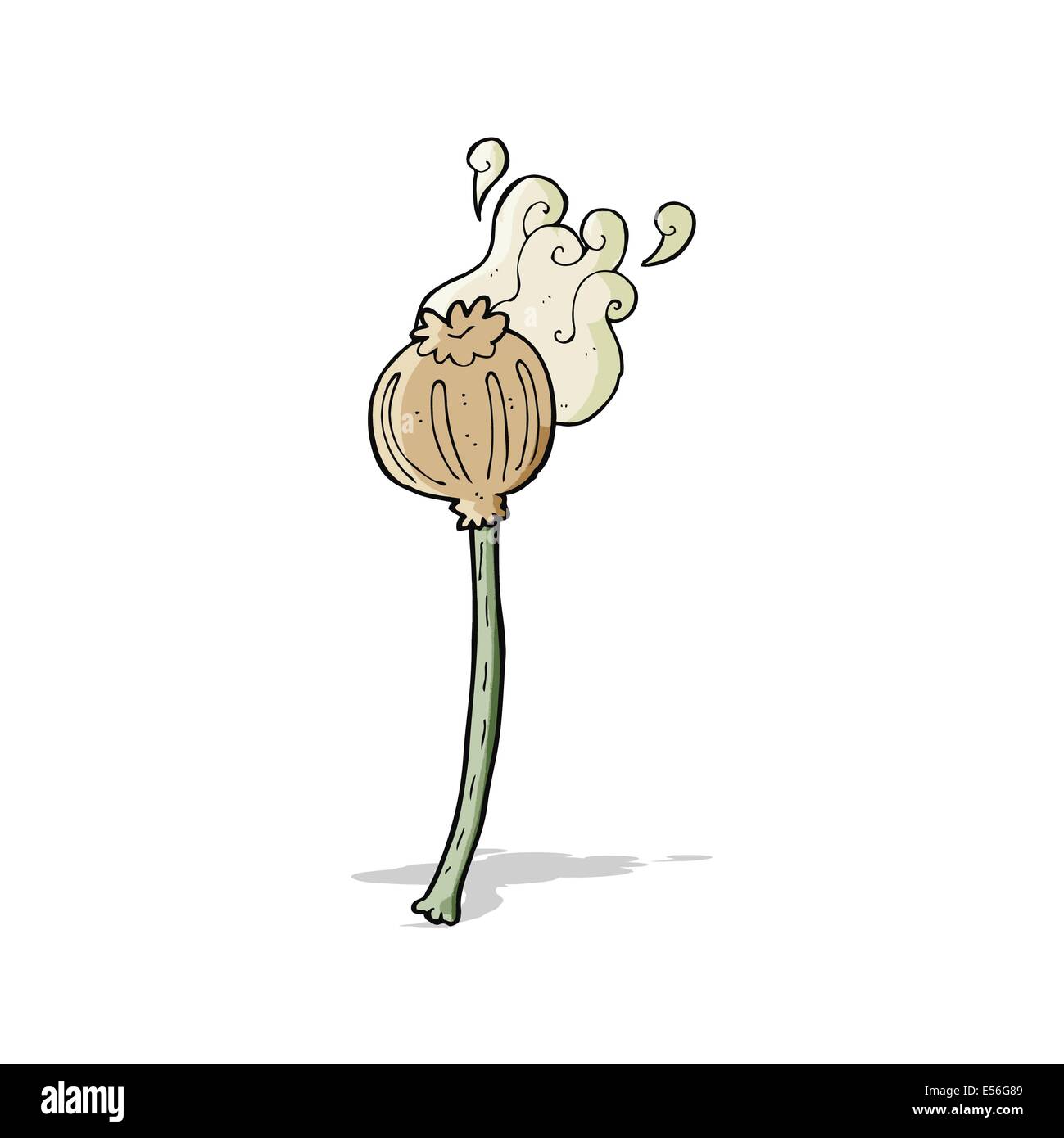 cartoon dried poppy Stock Vector Image & Art - Alamy