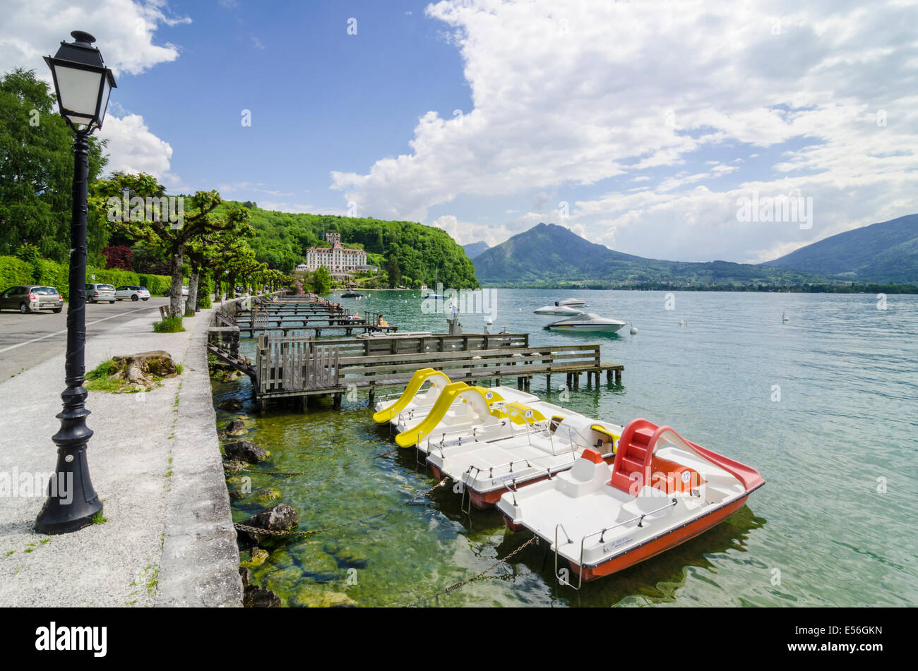 Menthon st bernard hi-res stock photography and images - Alamy