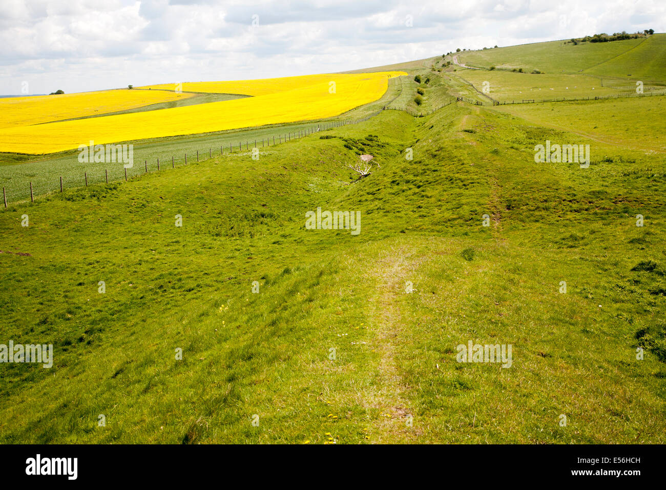 Ditch and embankment of the Wansdyke a Saxon defensive structure on All ...