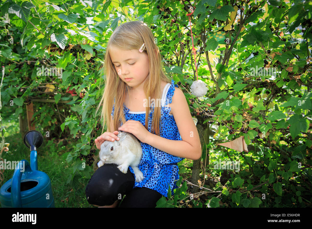 Teenage girl playing with a rabbit in the backyard Stock Photo - Alamy