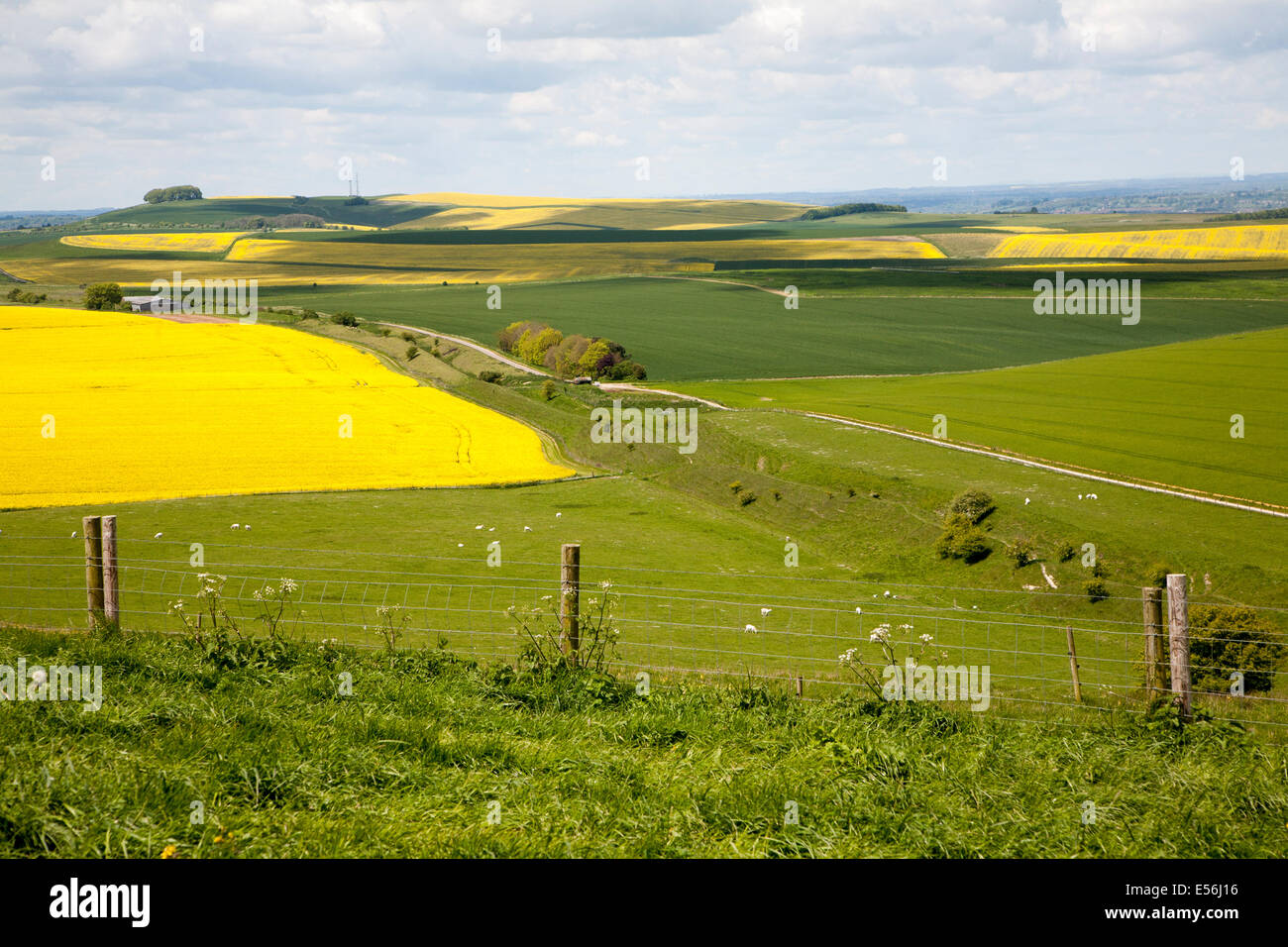 Ditch and embankment of the Wansdyke a Saxon defensive structure on ...