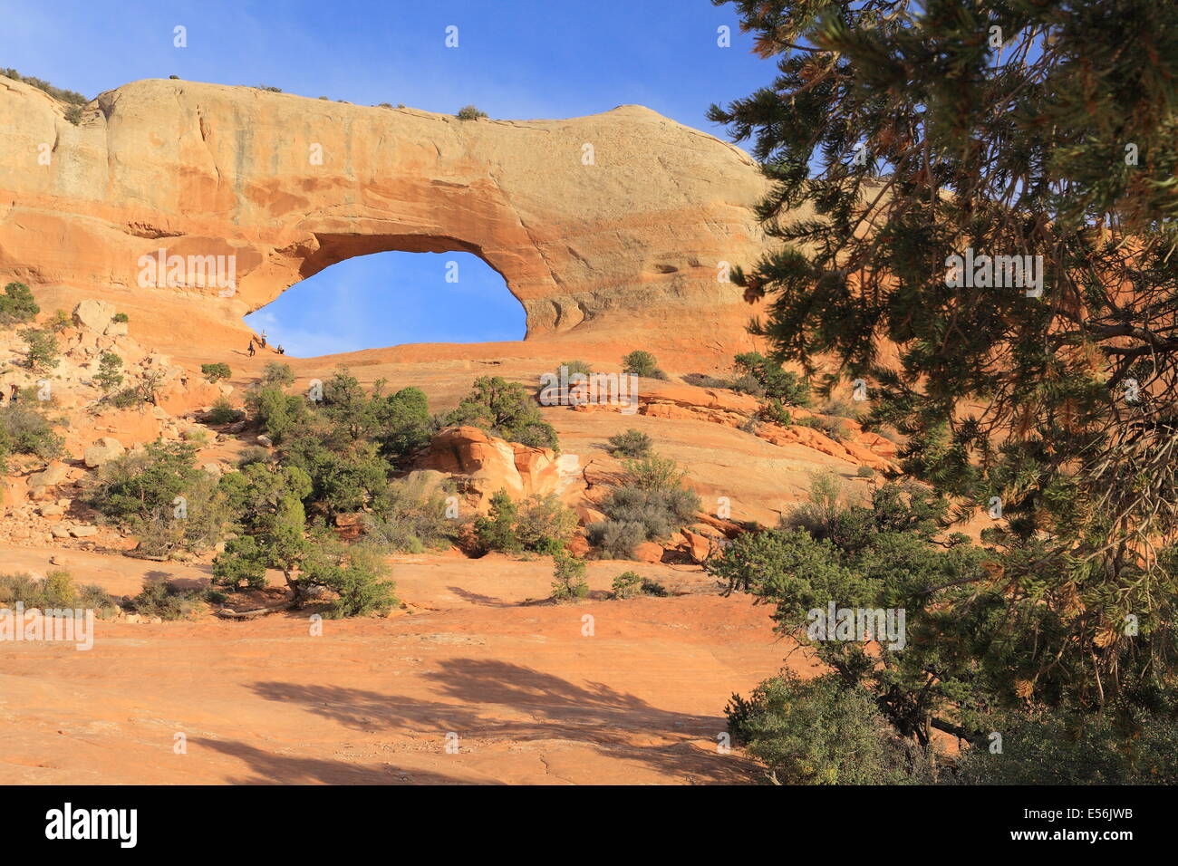 Moab desert sunset hi-res stock photography and images - Alamy