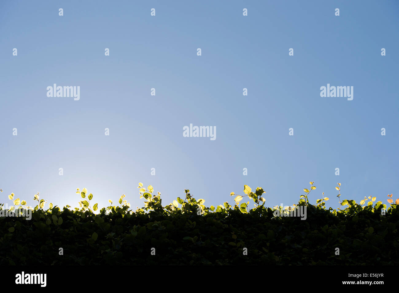 Sunlight and shadow hi-res stock photography and images - Alamy