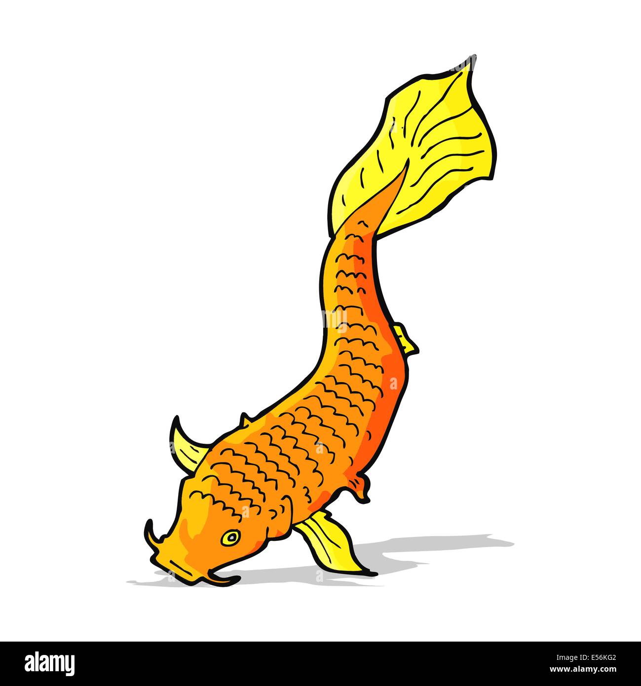 Koi fish clip hi-res stock photography and images - Alamy