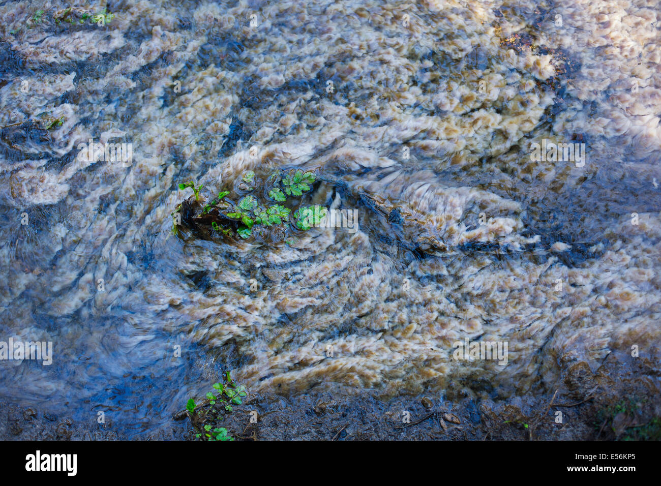 Polluted watercourse hi-res stock photography and images - Alamy