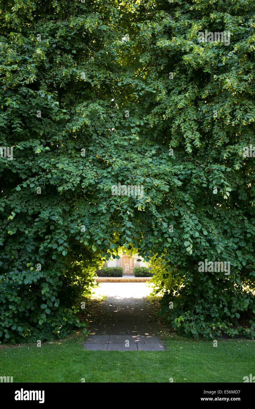 Hole and pathway through a tree hedge at Edinburgh botanical gardens ...