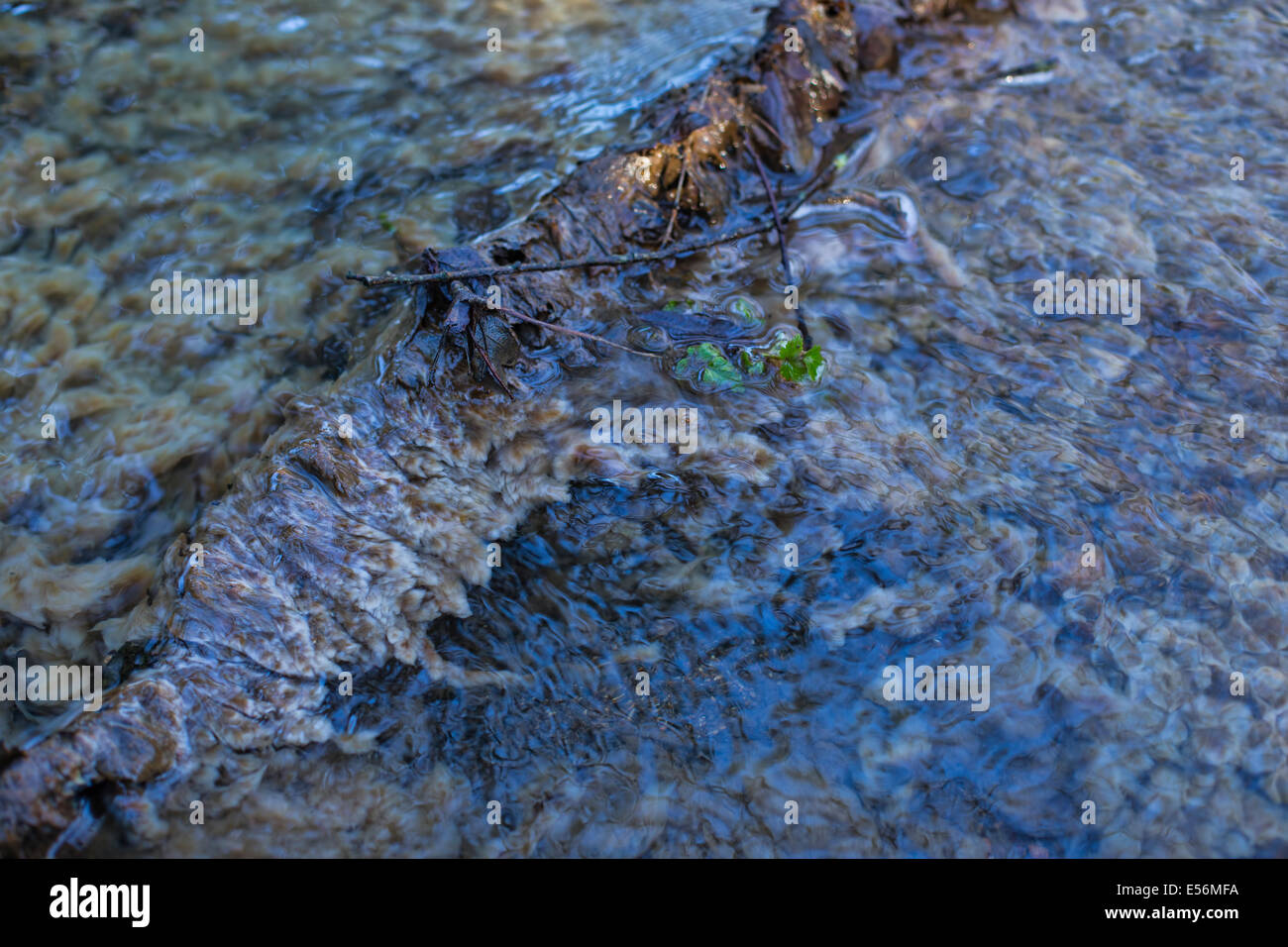 Heavily polluted water hi-res stock photography and images - Alamy