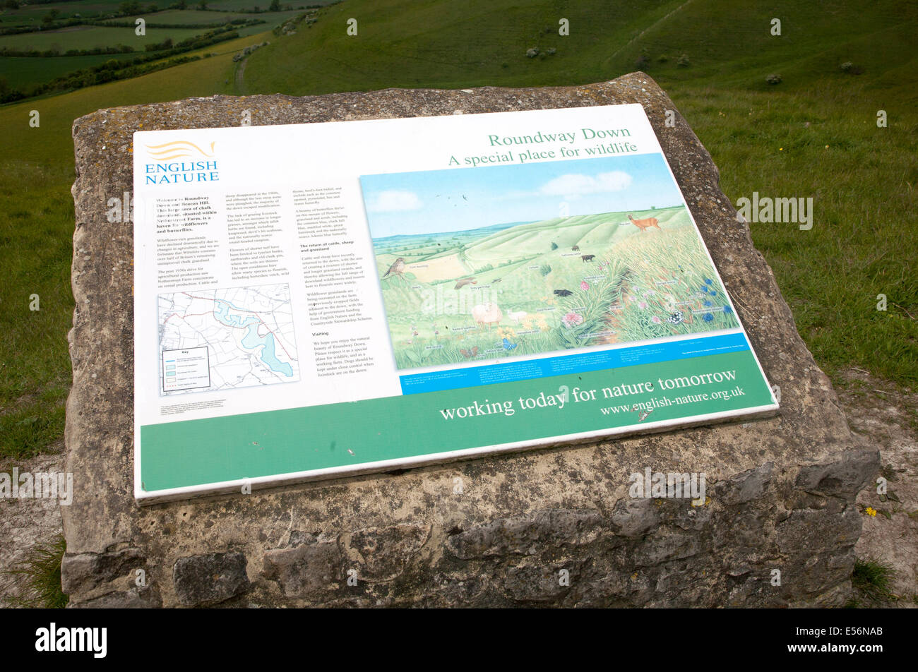 Roundway hill devizes hi-res stock photography and images - Alamy