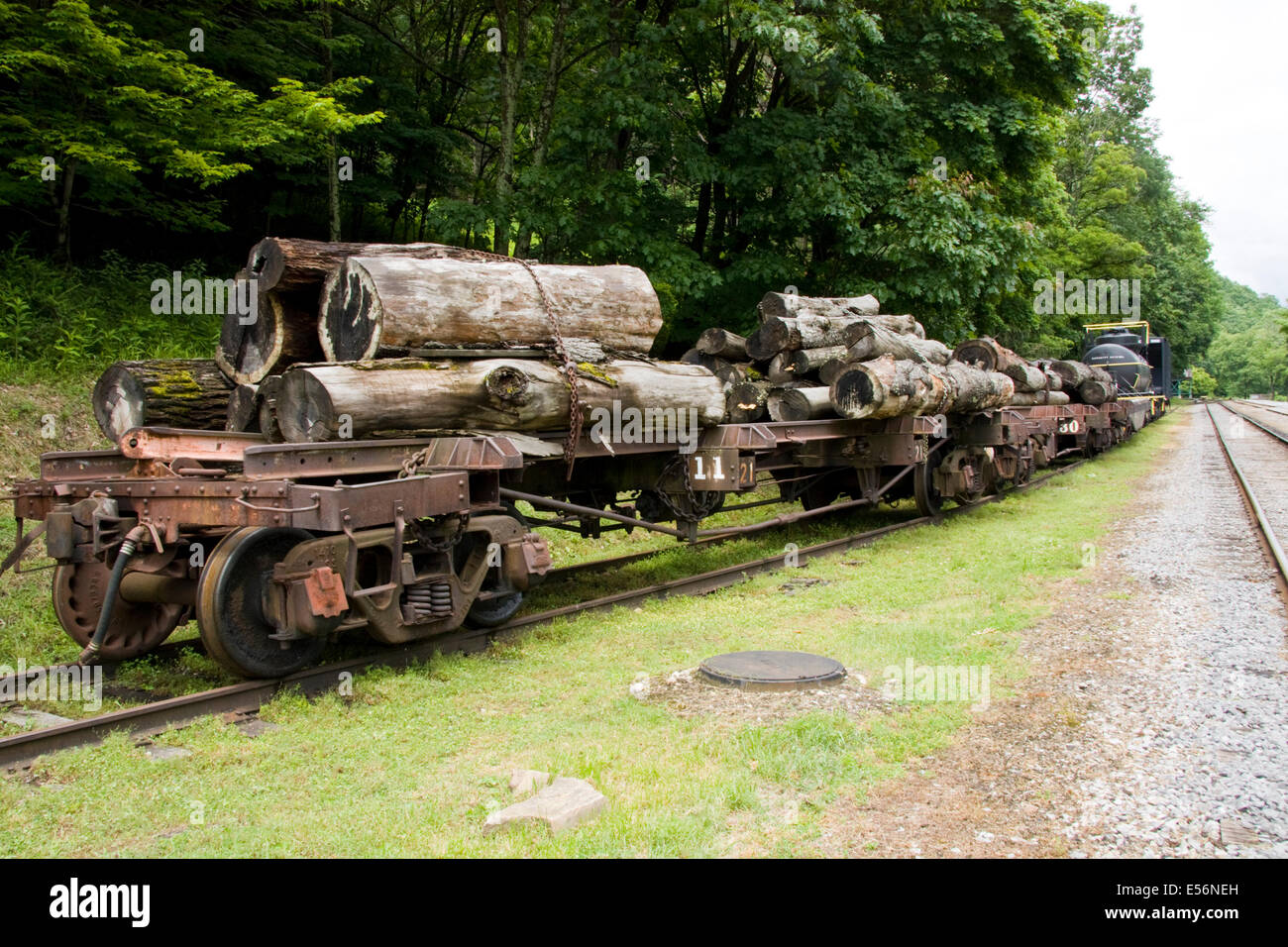 Old railway wagons with logs, Cass, West Virginia, USA Stock Photo - Alamy