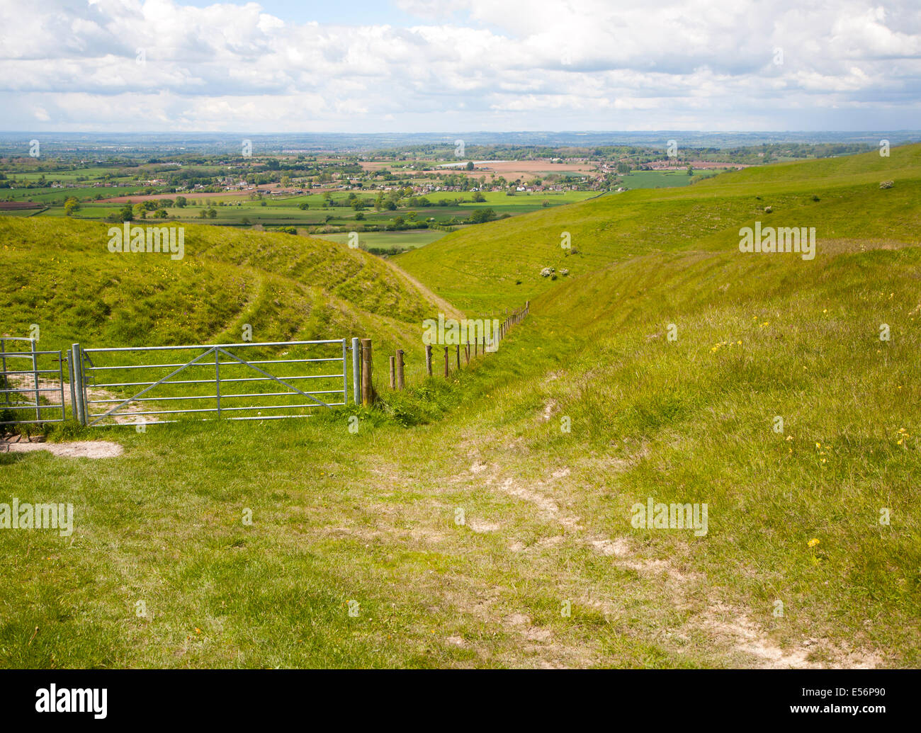 Chalk scarp slope with dry valleys at Roundway Hill, a special place ...