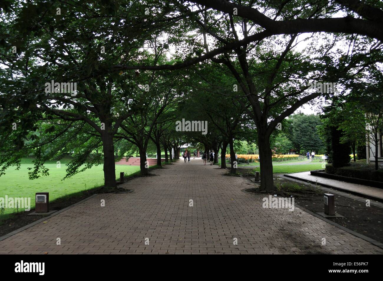 Fukaya High Resolution Stock Photography and Images - Alamy