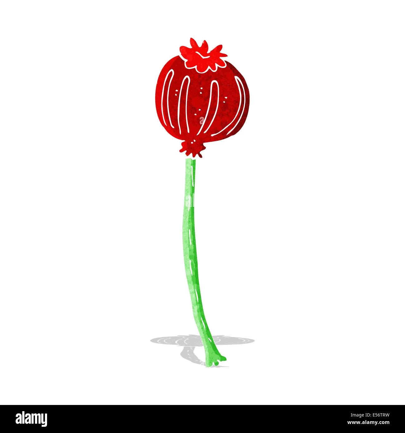 cartoon dried poppy Stock Vector Image & Art - Alamy