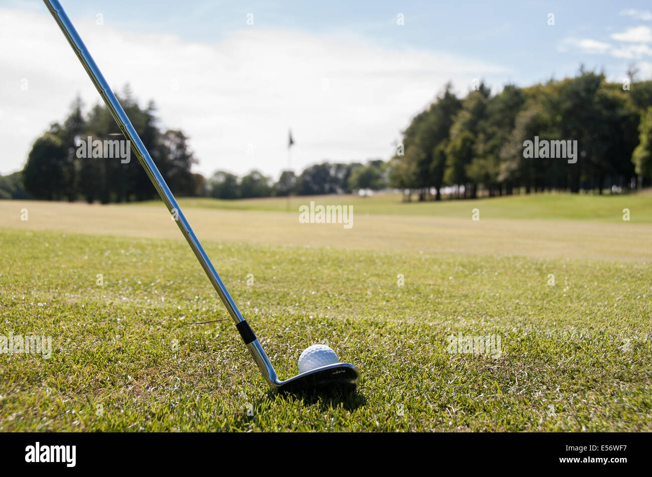 Golf club chipping green hi-res stock photography and images - Alamy