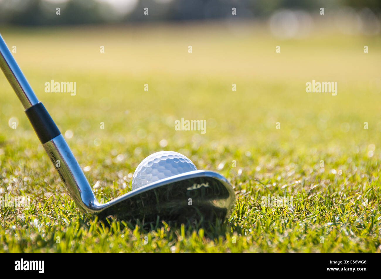 Golf club chipping green hi-res stock photography and images - Alamy