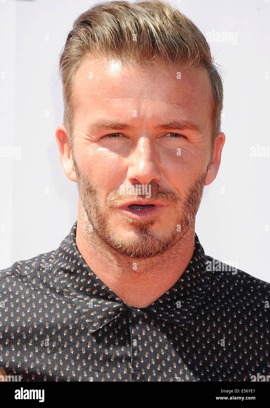 DAVID BECKHAM English footballer in July 2014. Photo Jeffrey Mayer ...