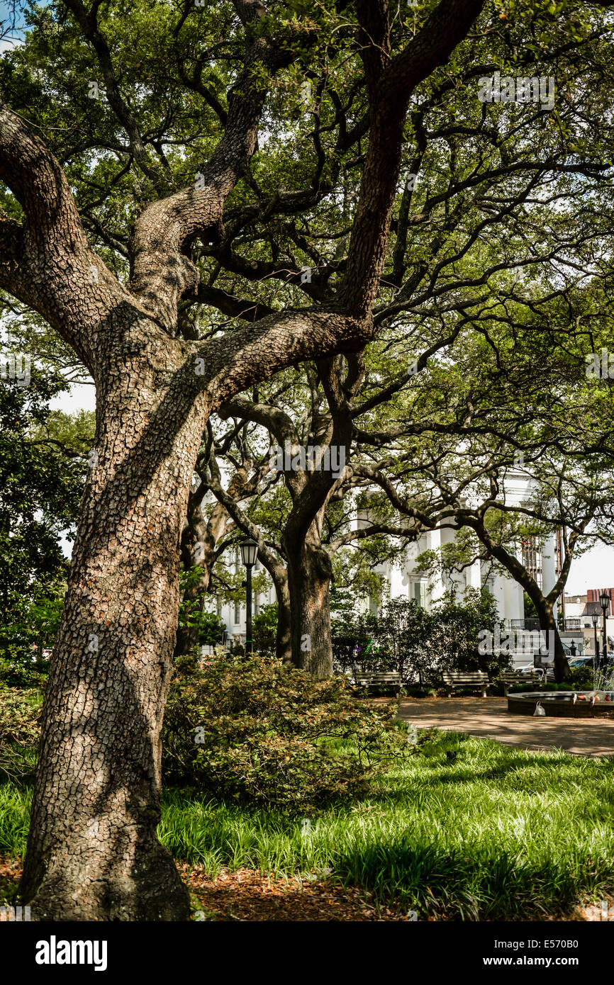 A glimpse of the landmark, Christ Church Episcopal, barely visible ...