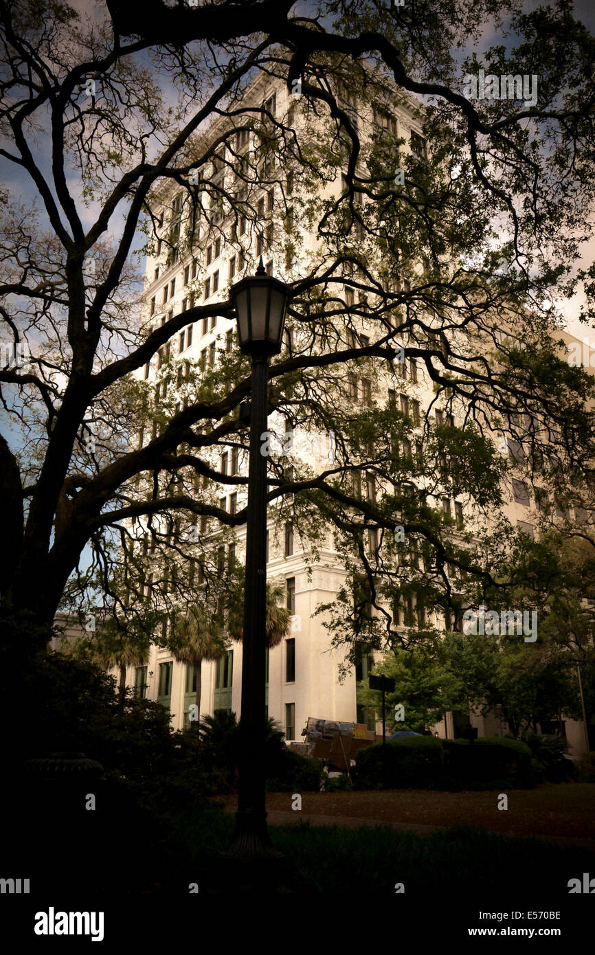A Neo-Classic and 3rd tallest building in Savannah, the Savannah Bank ...