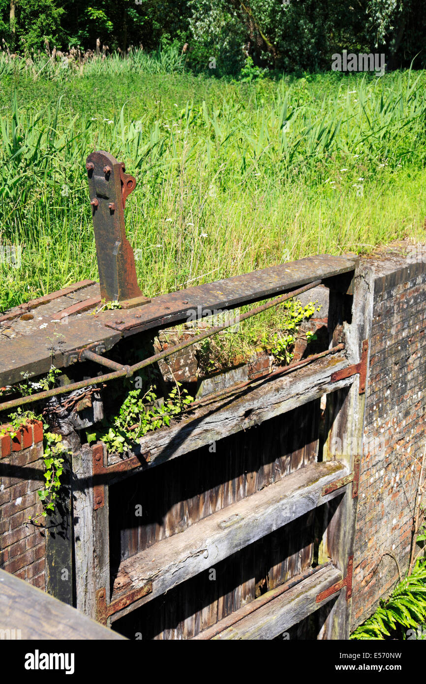 Detail of a disused lock gate on the old North Walsham and Dilham Canal ...