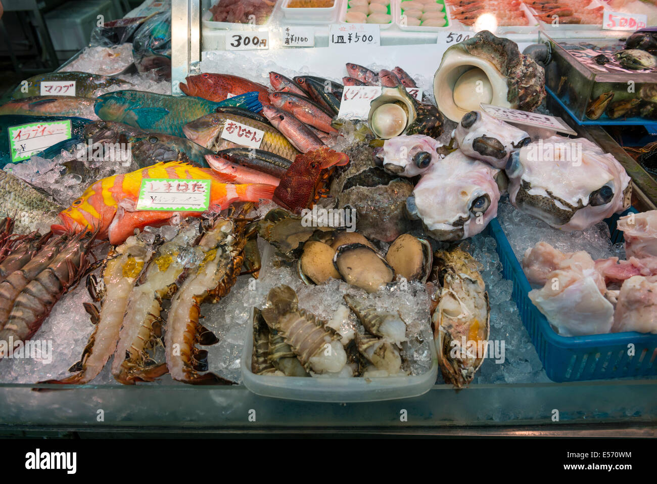 Fugu, Fresh Fish and Seafood on Display in Makishi Public Market, Naha ...