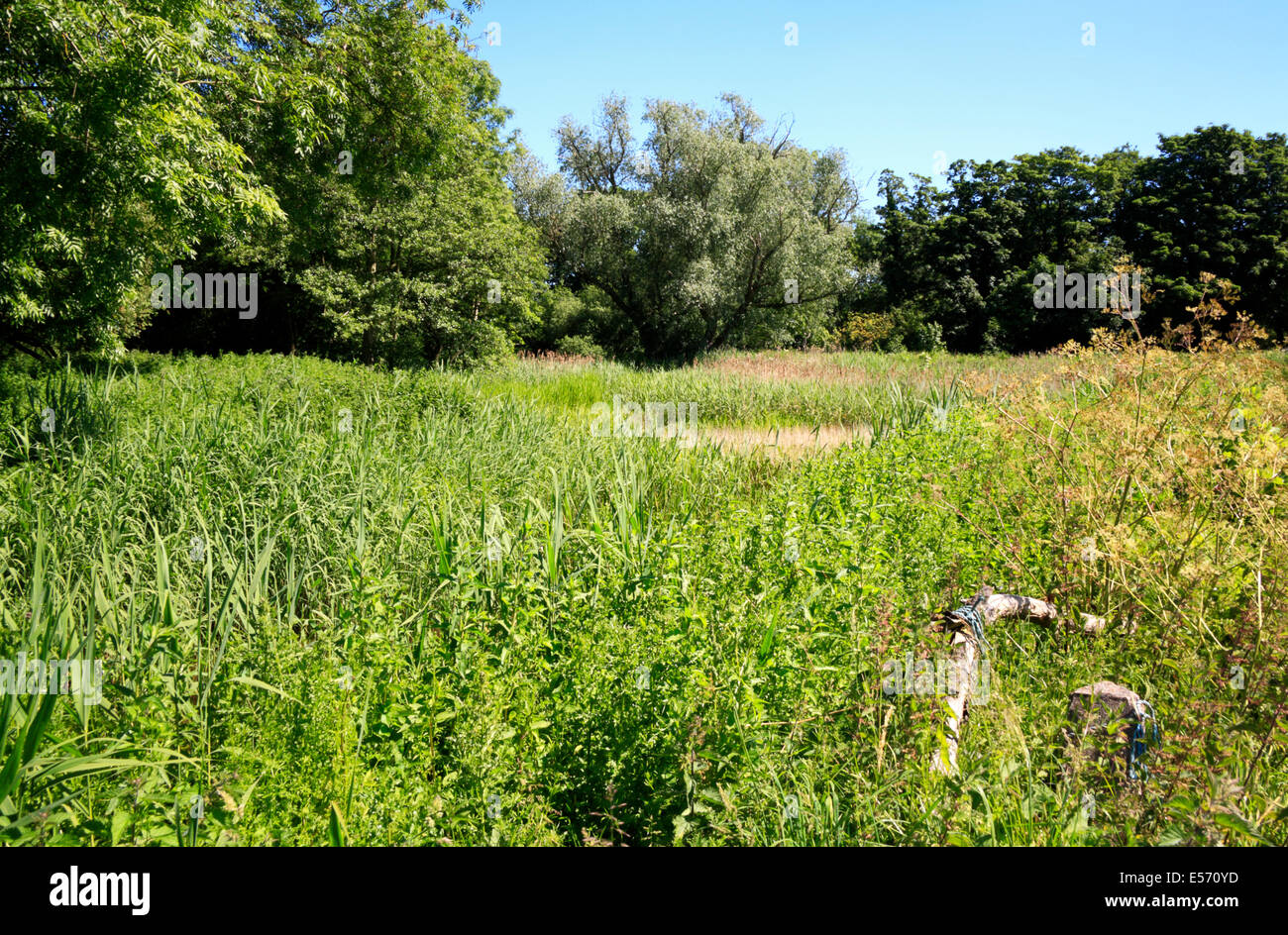 Former mill pool hi-res stock photography and images - Alamy