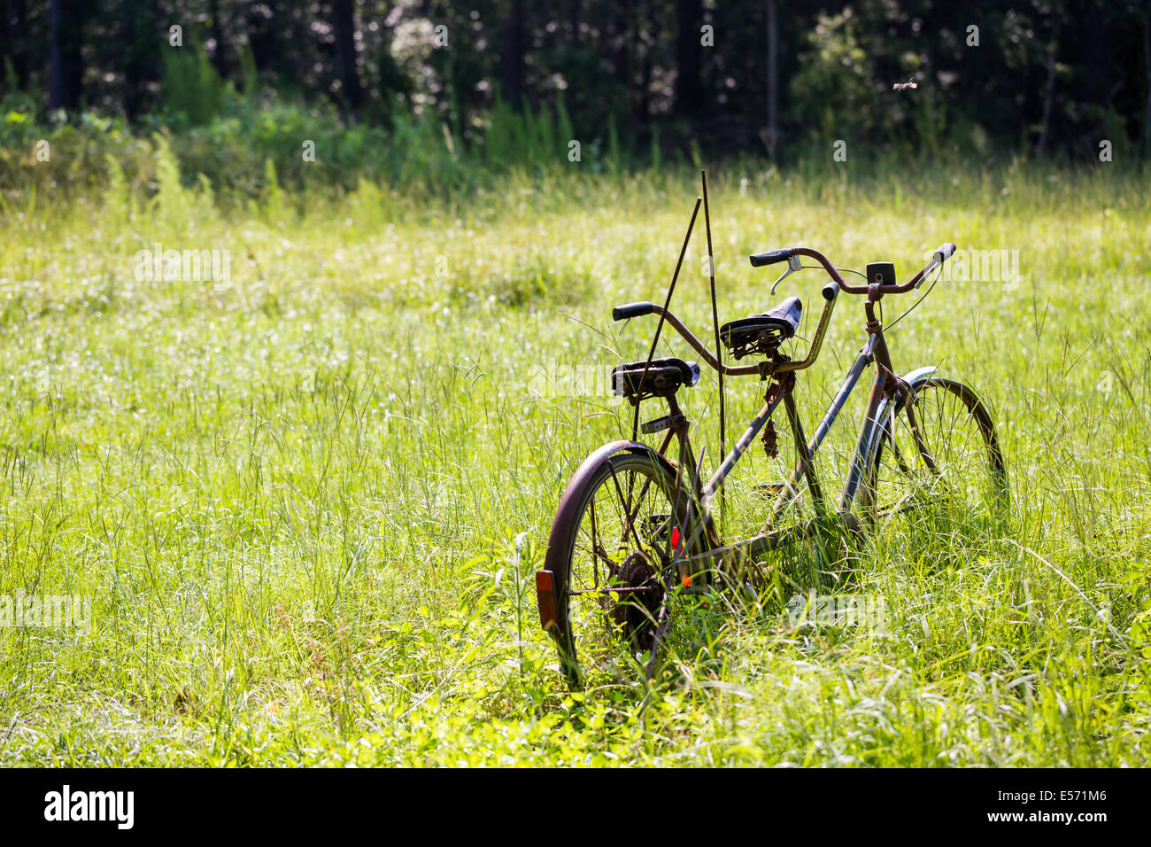Old tandem bicycle on Southern farm Stock Photo - Alamy
